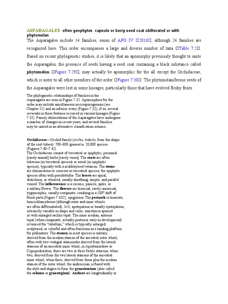APG IV 2016 Table 7.2: Asparagales | PDF | Orchidaceae | Gardening