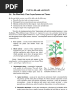 Plant Anatomy and Physiology Overview | PDF | Tissue (Biology) | Plant Stem