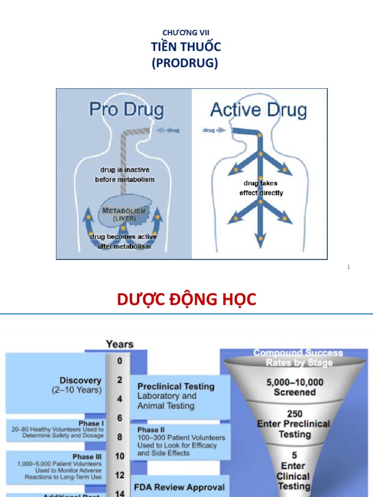 Pro Drug | PDF