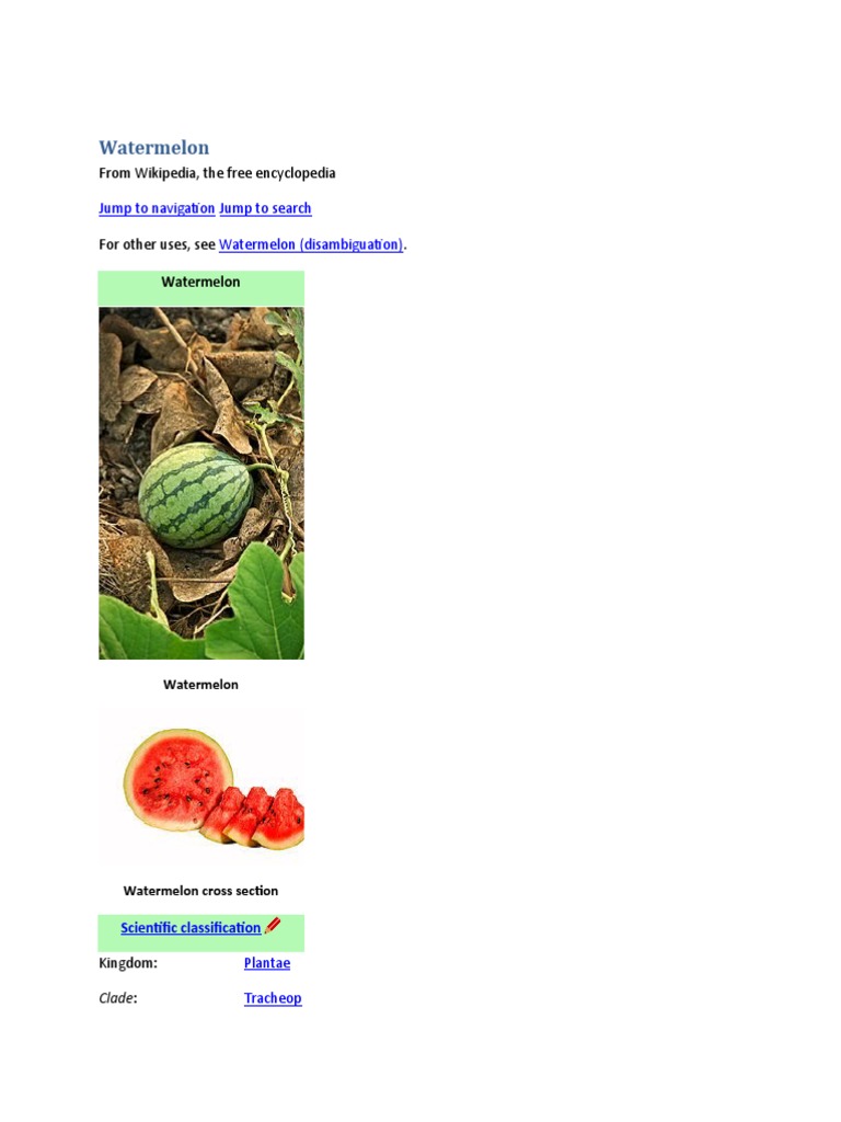 Watermelon: From Wikipedia, The Free Encyclopedia | PDF | Watermelon ...