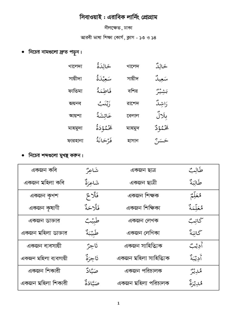 Sibawayh: Arabic Learning Program: 13th and 14th | PDF
