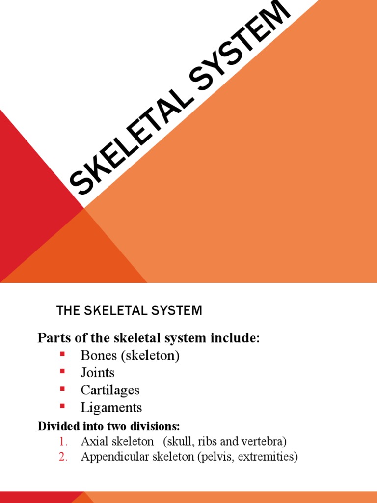 SKELETAL SYSTEM Lesson | PDF | Bone | Skeleton
