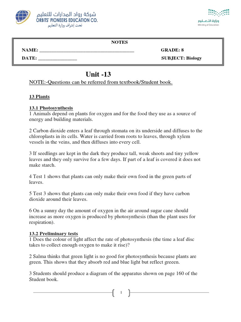 Grade 8 Biology: Photosynthesis Notes | PDF | Leaf | Plants