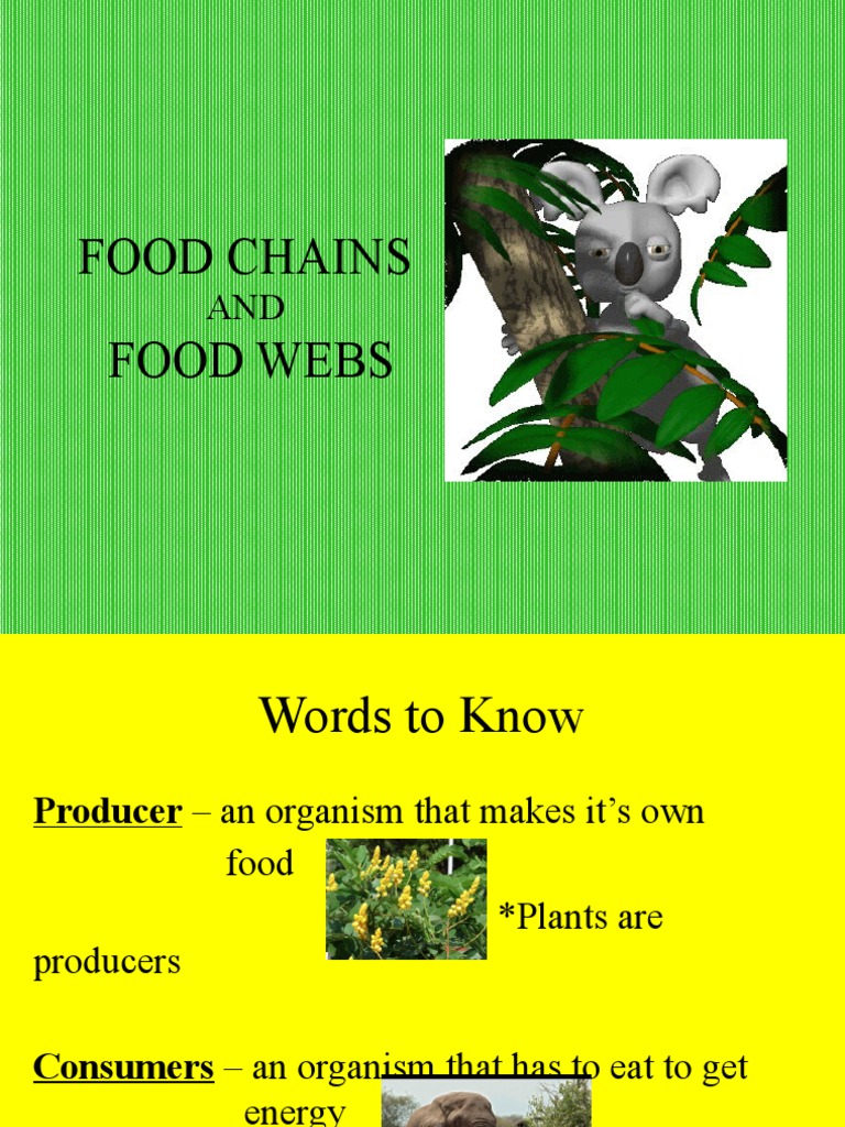 Food Chains and Webs Powerpoint | PDF | Food Web | Organisms