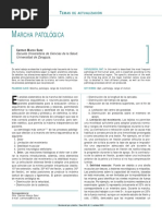Marcha Trendelenburg: Análisis y Alteraciones | PDF | Pelvis | Sistema ...