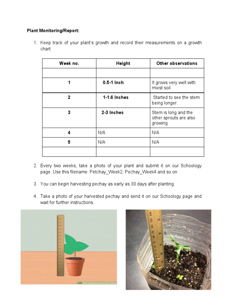 Plant Growth Monitoring Guide | PDF | Home & Garden