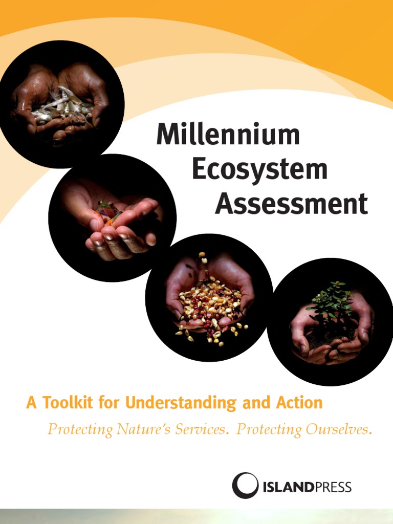 The Millennium Ecosystem Assessment 2007 | PDF | Ecosystem Services ...