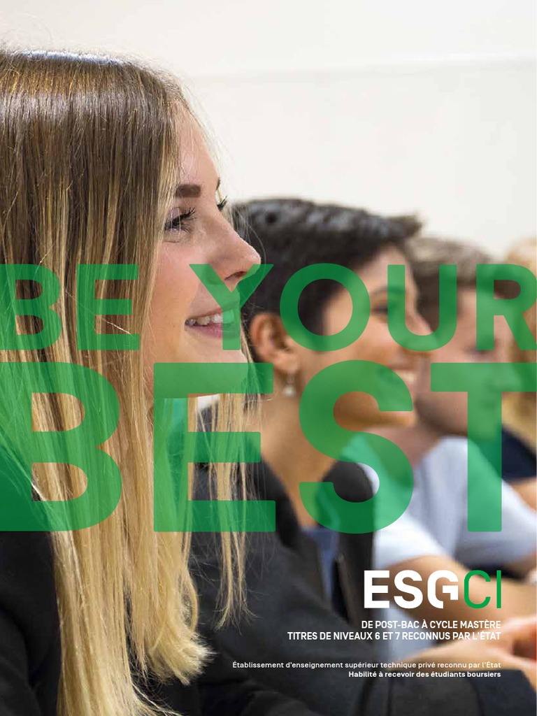 ESGCI Brochure | Descargar gratis PDF | Commercialisation | Maîtrise en ...