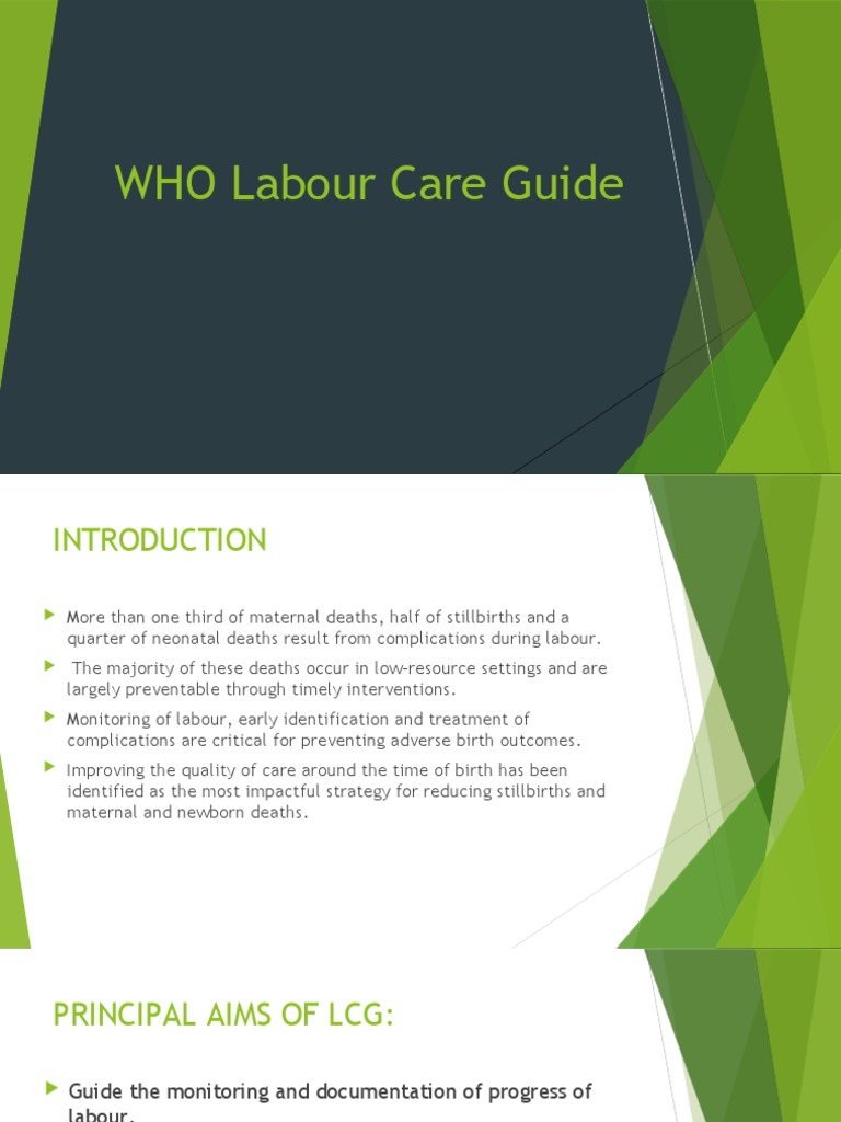 WHO Labour Care Guide | PDF | Childbirth | Human Pregnancy