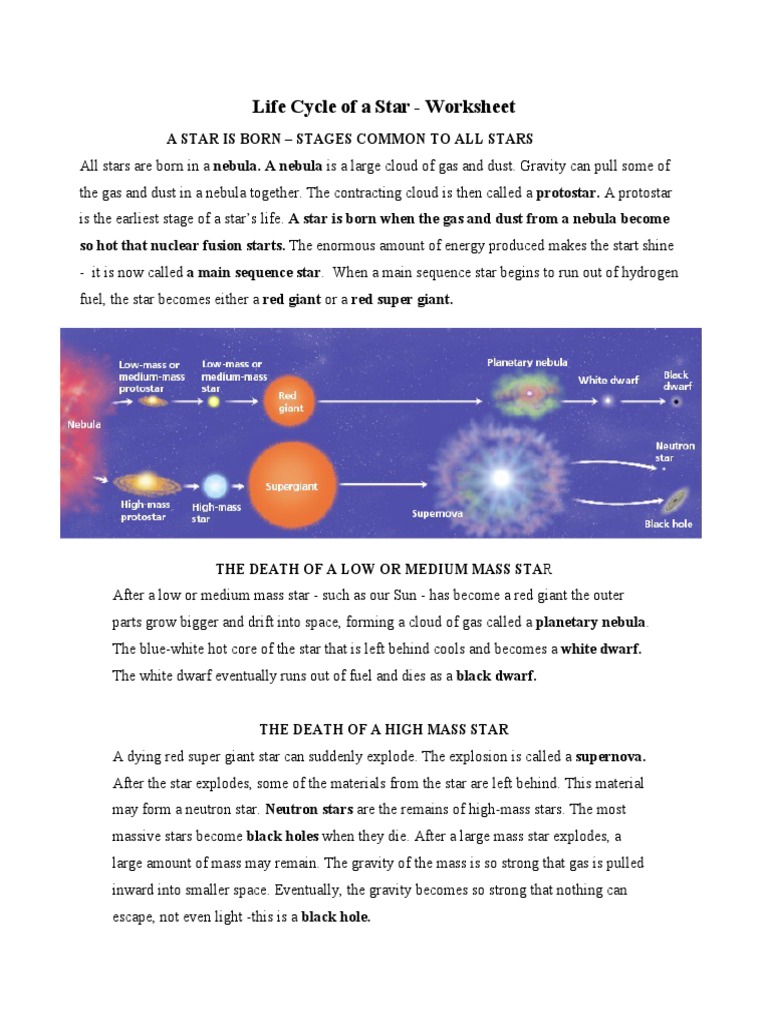 Life Cycle of A Star - Worksheet | PDF | Stars | Nebula