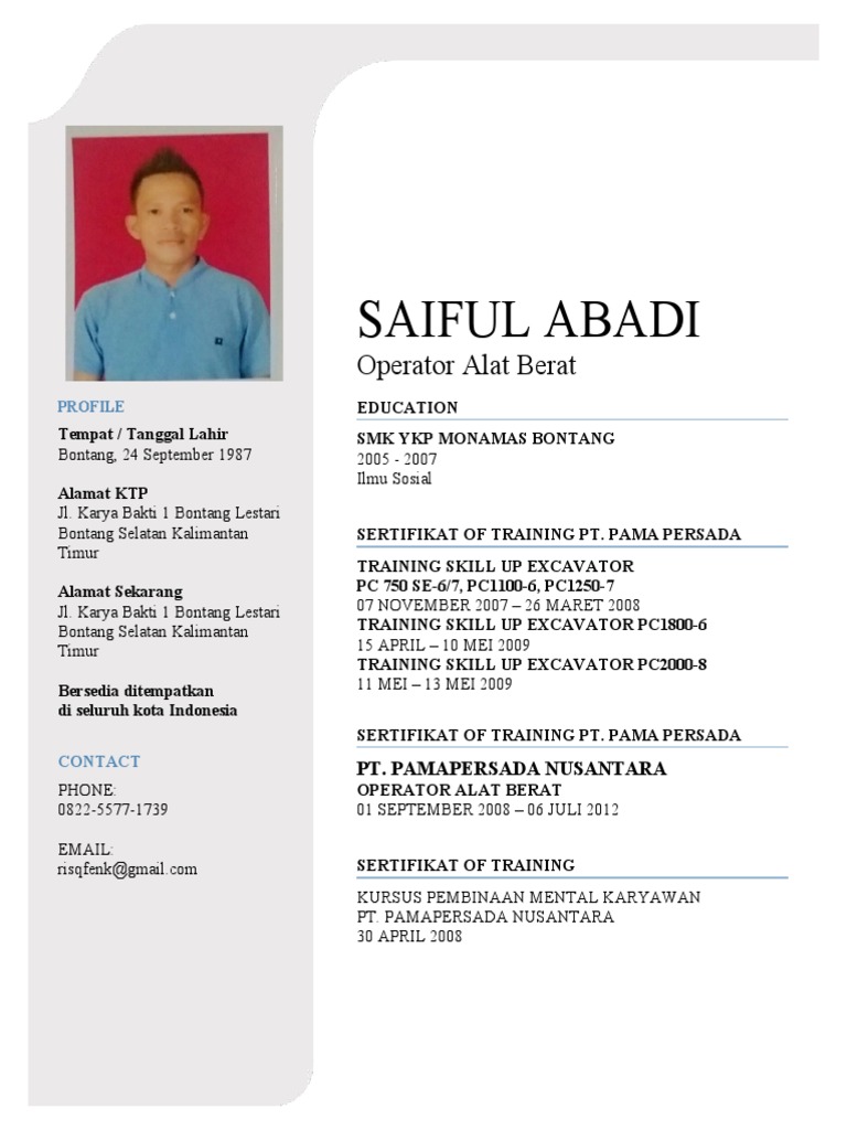 CV Saiful Abadi | PDF