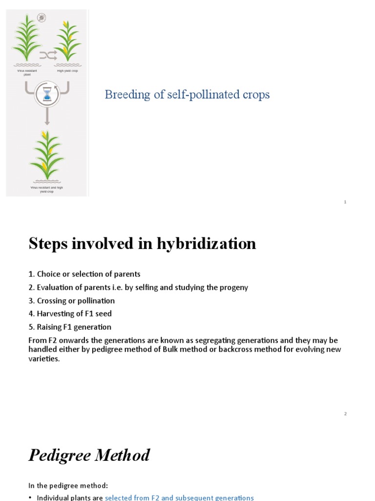 Breeding of Self-Pollinated Crops | PDF | Plant Breeding | Organisms