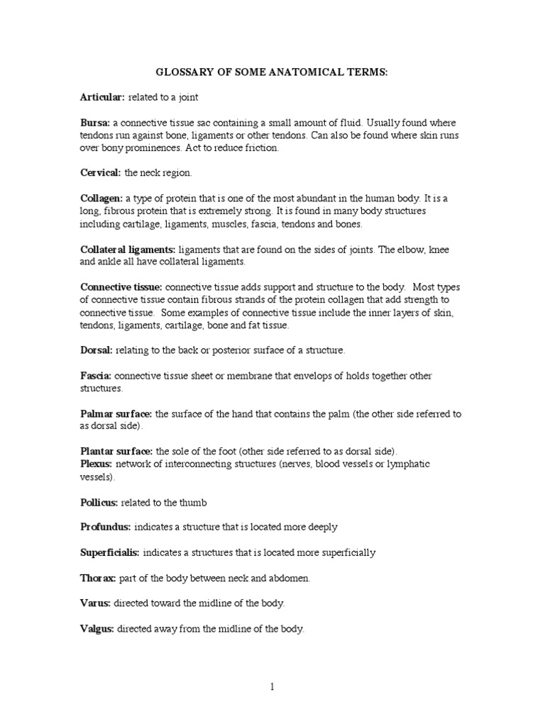 Anatomical Terms | PDF | Social Science