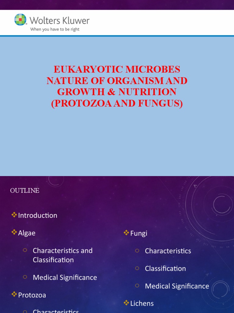Eukaryotic Microbes Nature of Organism | PDF | Protozoa | Fungus