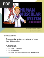 Pre-Professional Pointe 1 Workbook | PDF | Pelvis | Hip