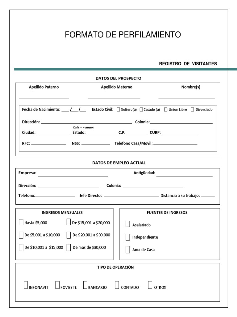 Formato de Perfilamiento | PDF