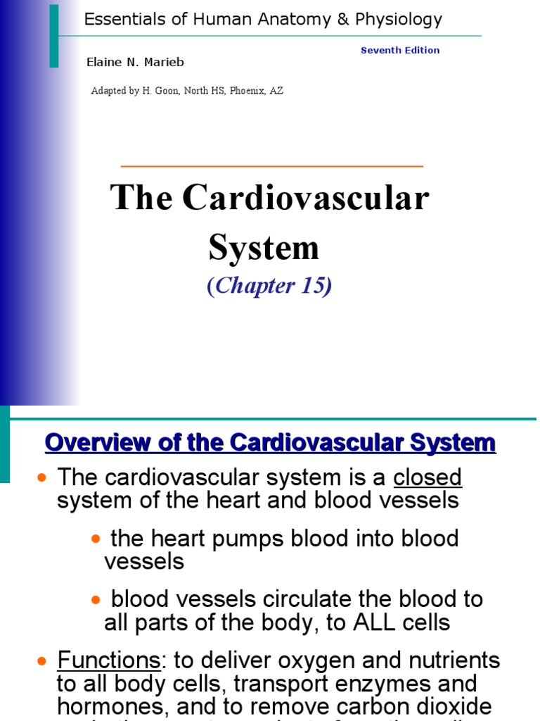 The Cardiovascular System: (Chapter 15) | PDF | Heart Valve | Heart