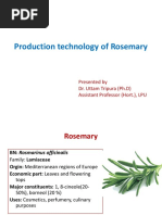 Cronquist (1981) | PDF | Plants | Family