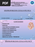 Test de Patrick: Evaluación Sacroilíaca | PDF | Rodilla | Articulaciones