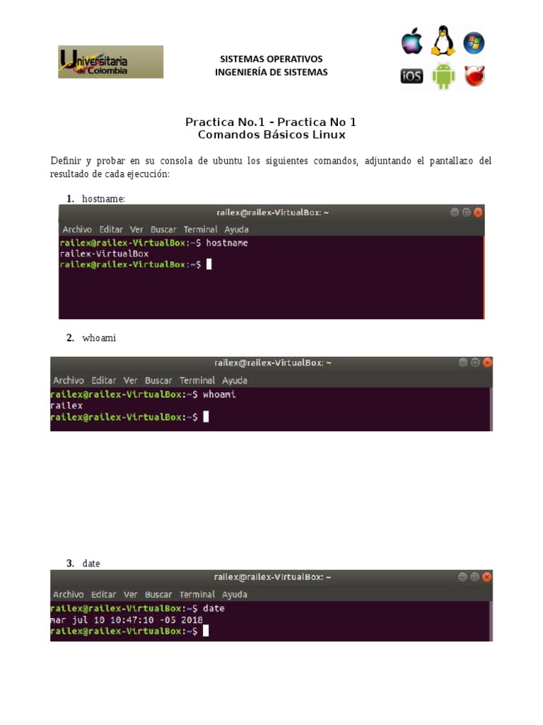 Comandos Básicos de Linux en Ubuntu | PDF