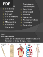 KS3 Science Revision Worksheets Cells | PDF | Vacuole | Cell (Biology)