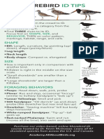 Bto Bird Species Codes | PDF
