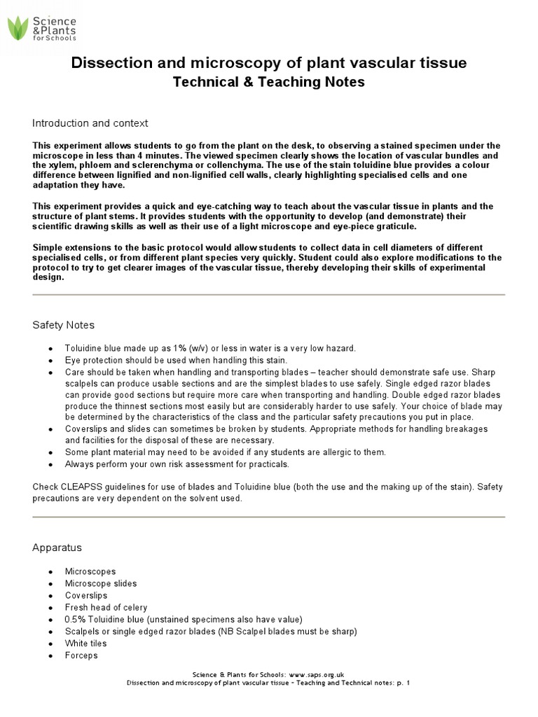 SAPS - Vascular Tissue Microscopy - Teacher Notes | PDF | Tissue ...