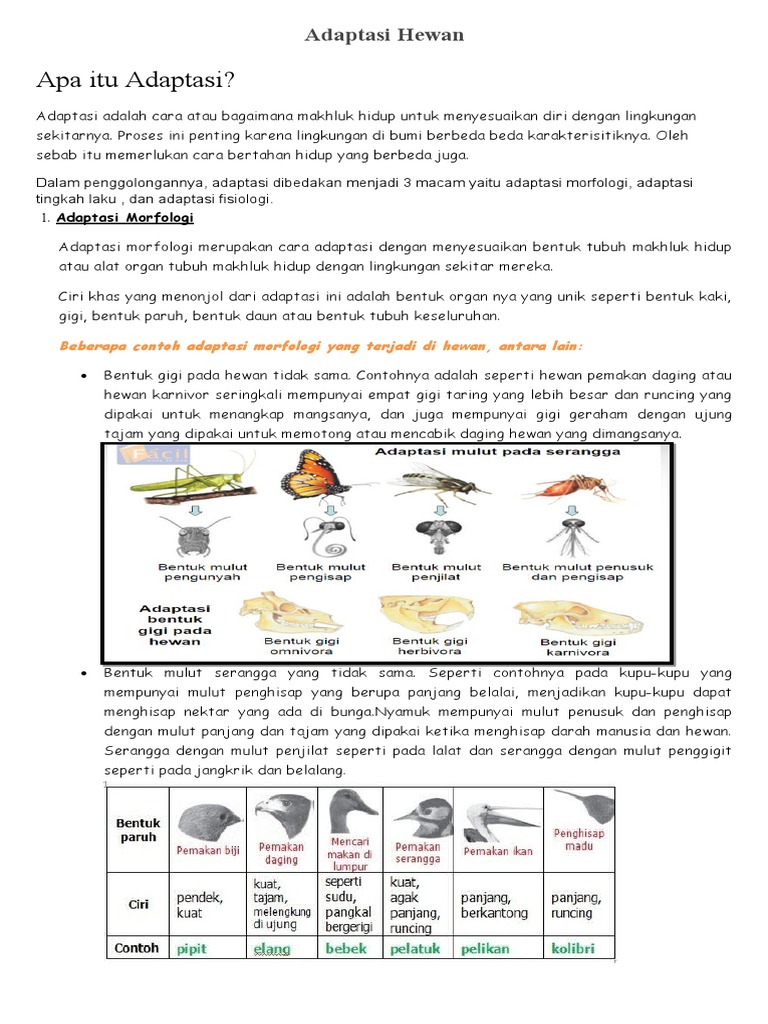 Adaptasi Hewan | PDF