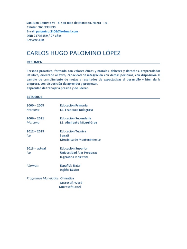 CV Palomino Lopez Carlos - Actualizado | PDF | Perú