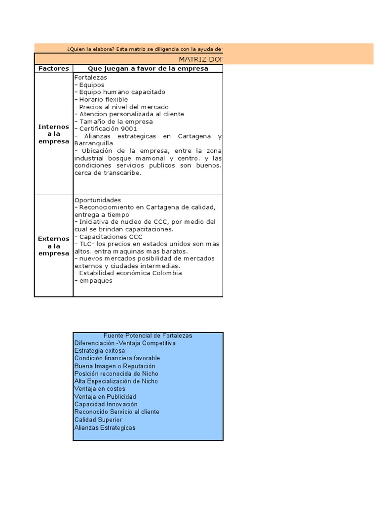 Modelo Dofa | PDF | Análisis FODA | Marketing
