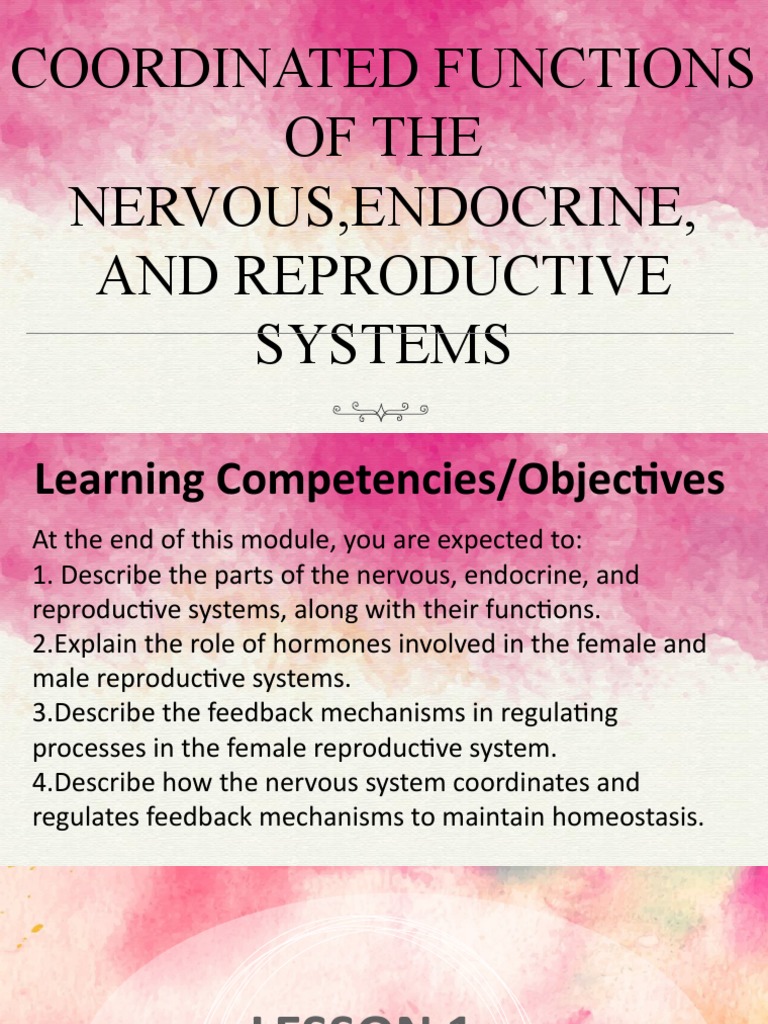 Coordinated Functions of The Nervous, Endocrine, and Reproductive Systems | PDF | Reproductive ...