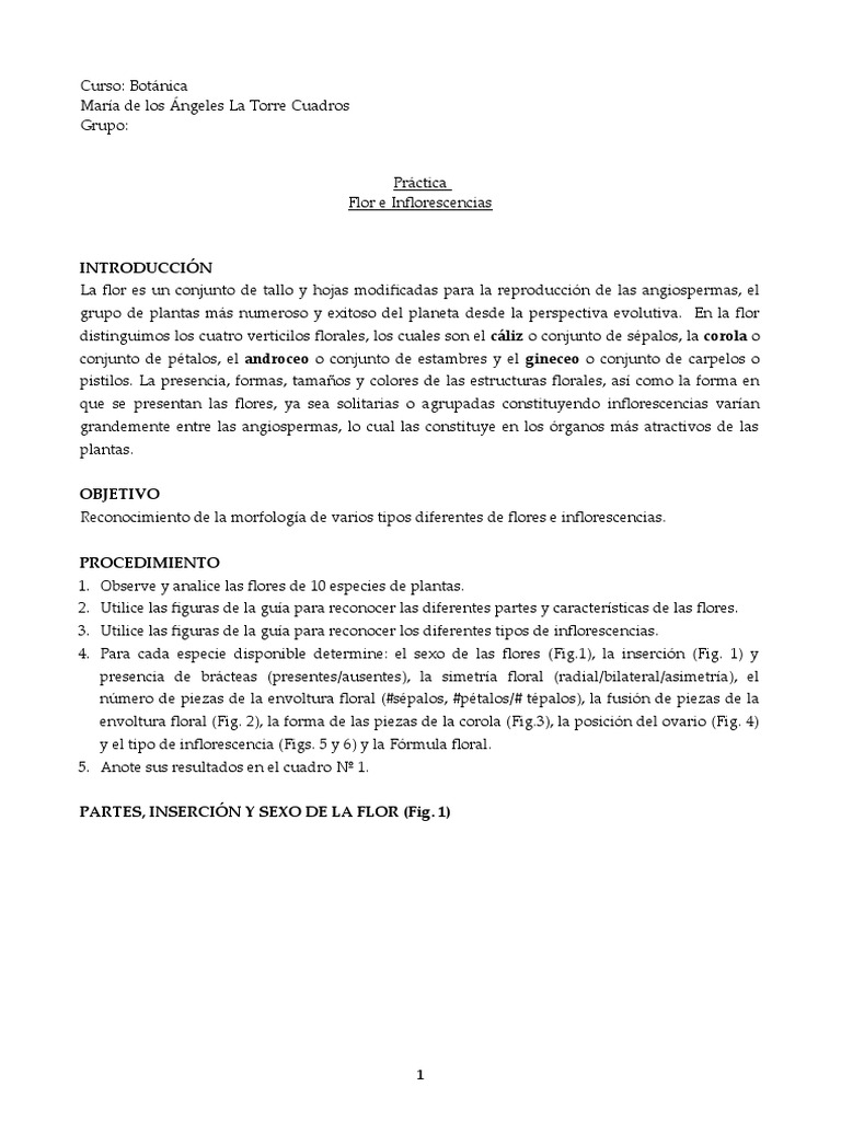 Morfología de Flores e Inflorescencias | PDF | Flores | Organismos