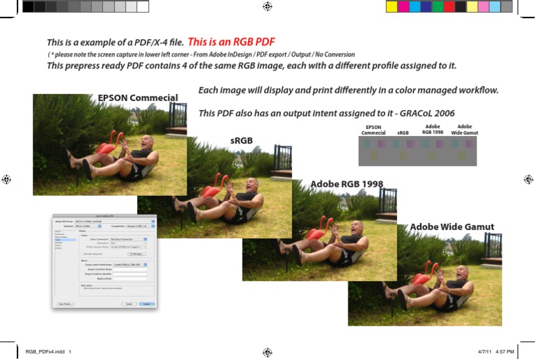 This Is An RGB PDF: EPSON Commecial | PDF