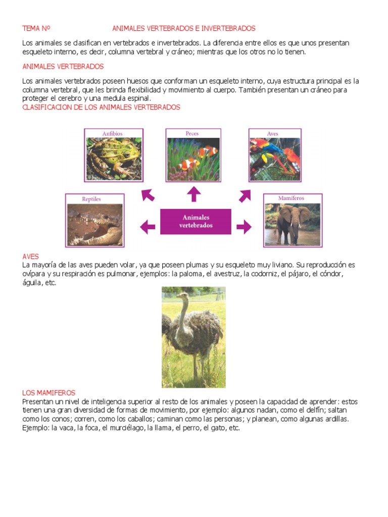 Tema #Animales Vertebrados e Invertebrados | PDF | Vertebrados | Esqueleto