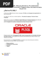 Guía de Instalación Oracle XE y SQL Developer | PDF | SQL | Oracle Corporation