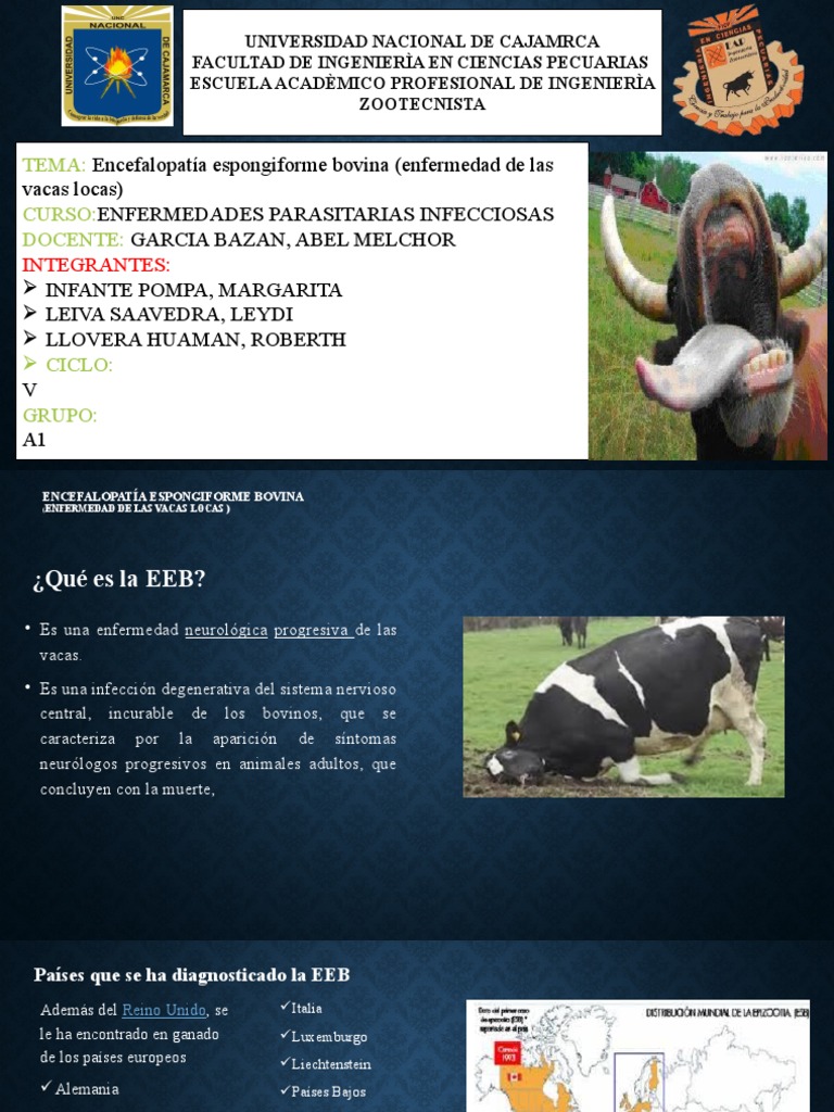 Enfermedad de Las Vacas Locas | PDF | Especialidades Medicas ...