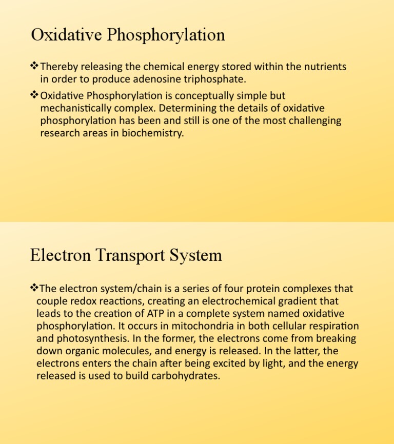 Understanding Oxidative Phosphorylation | PDF