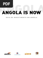 PGC Angola Explicado | PDF