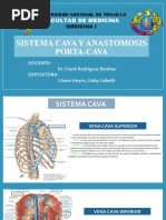 Acino Pulmonar y Enfisema | PDF | Ciencia y matemáticas