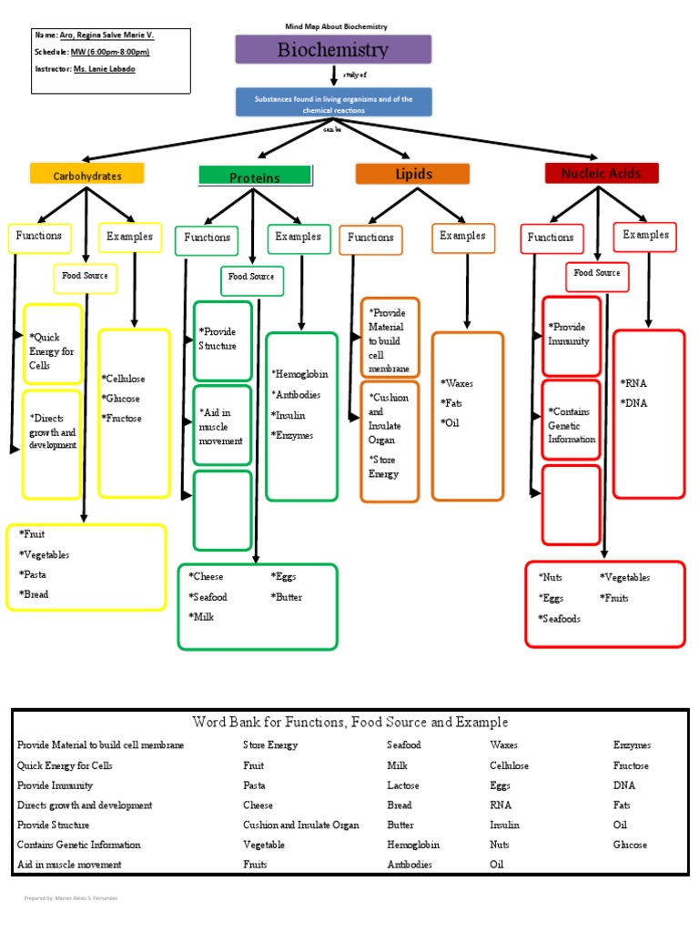 Introduction To Biochemistry - Activity 1Concept-Map-About-Biochemistry ...