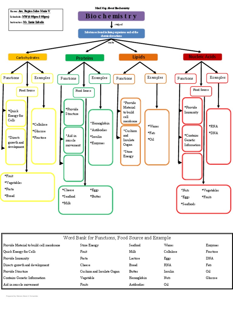 Activity1 ConceptMap | PDF | Chemistry | Biochemistry