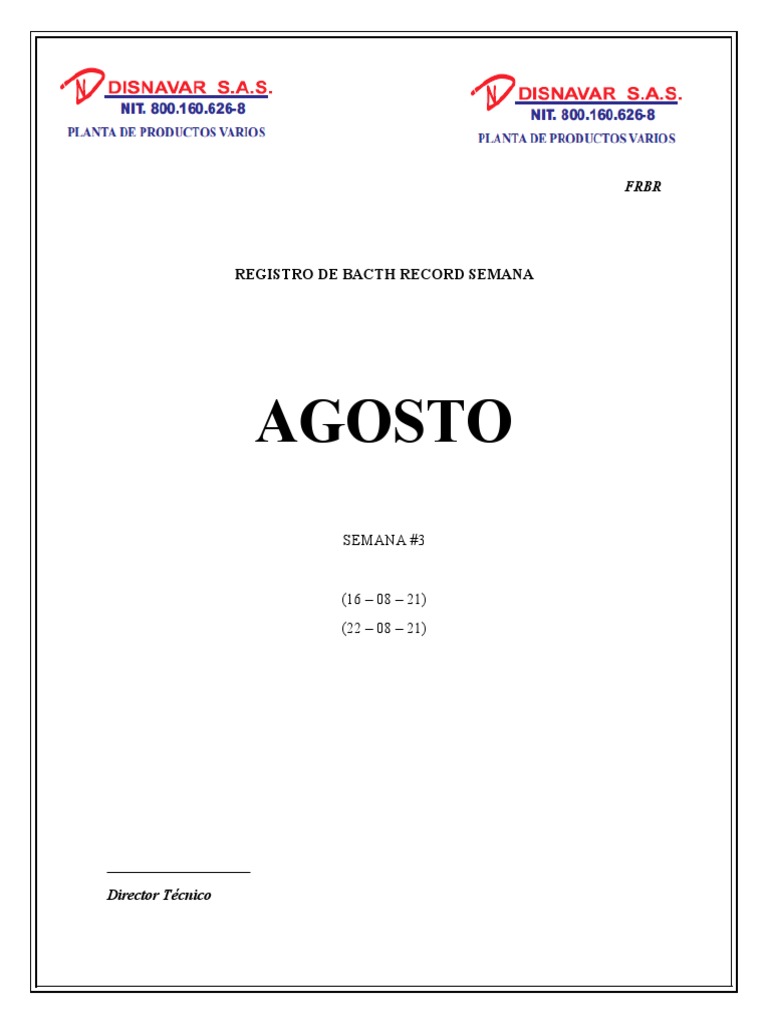 Formato de Registro Batch Record Semana 3 | PDF
