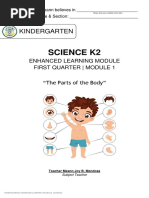 Module 1 Nursery Level | PDF | Cognition | Teachers