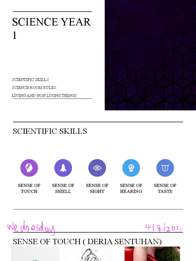 Science Year 1: Scientific Skills Science Room Rules Living and Non ...