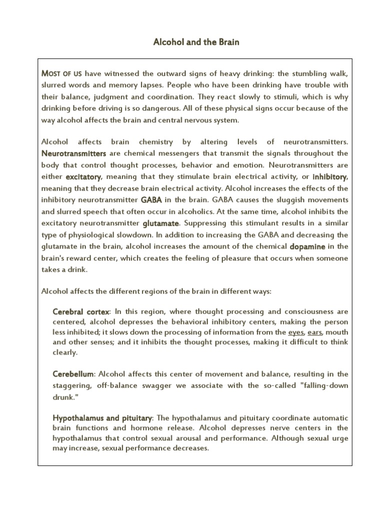 Alcohol and The Brain 2 | PDF | Brain | Neurotransmitter