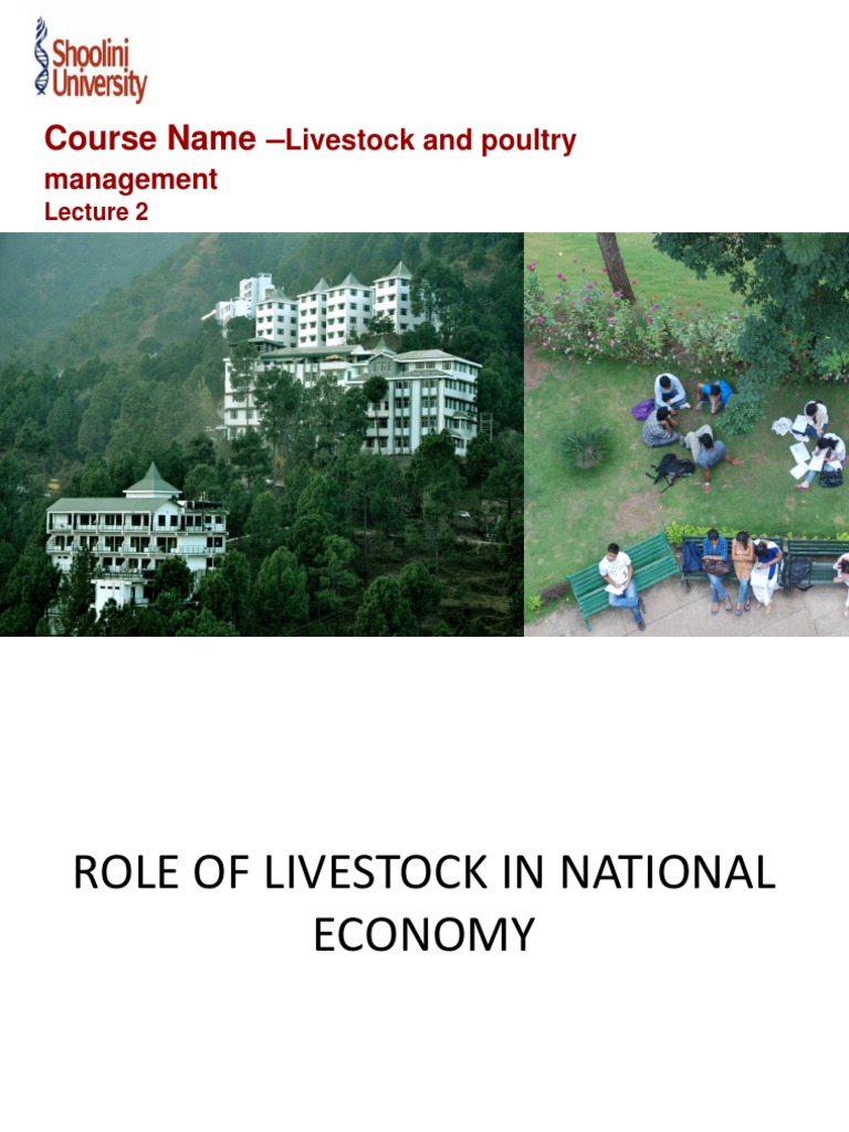 2.) Livestock and Poultry Management | PDF | Livestock | Agriculture