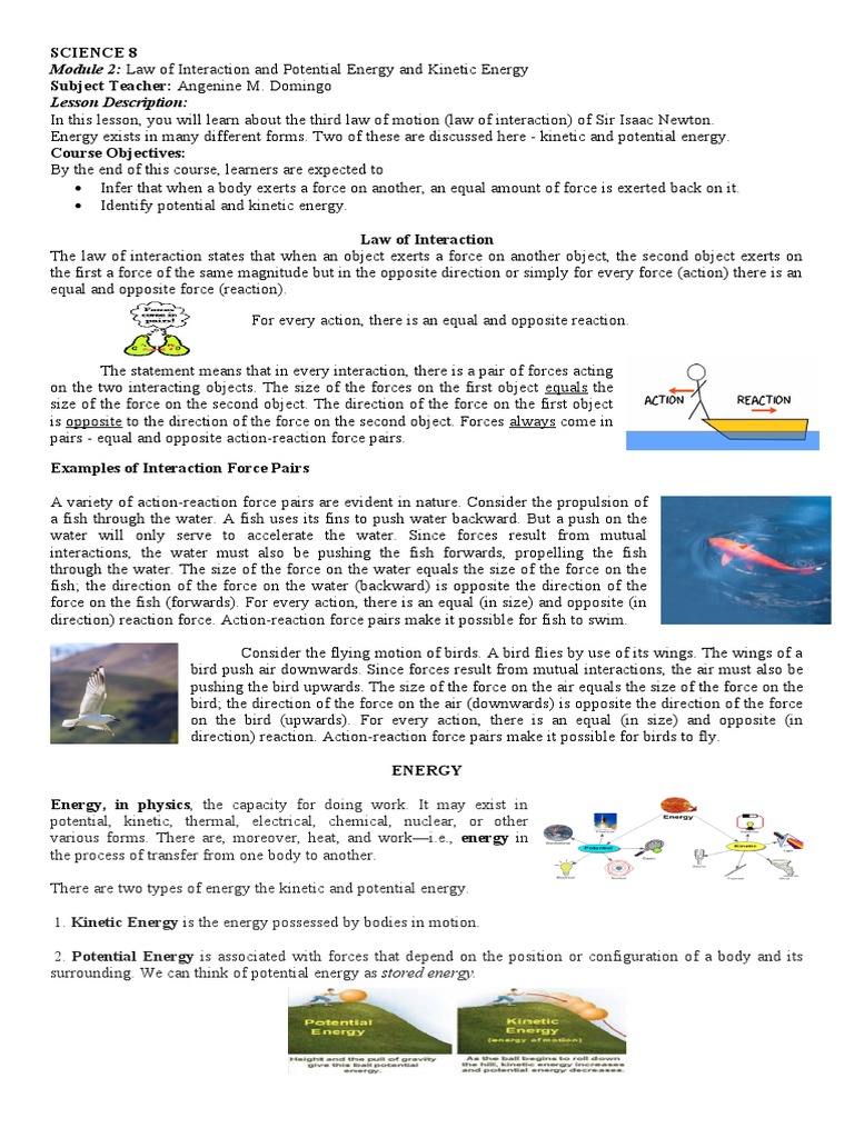Newton's Laws: Energy Types & Interactions | PDF | Force | Potential Energy