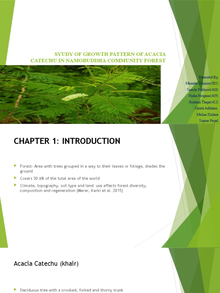 Growth Patterns of Acacia Catechu Study | PDF