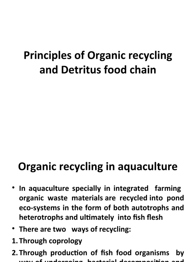 Principles of Organic Recycling and Detritus Food Chain | PDF ...