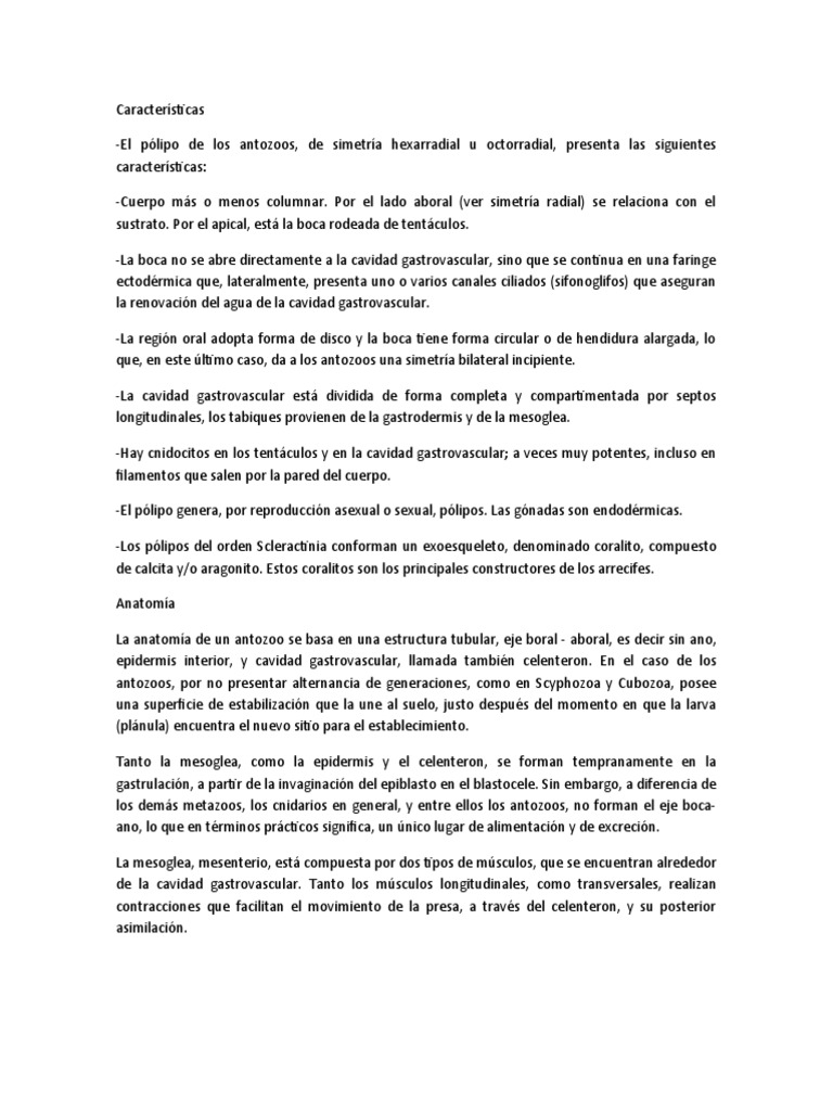 ANTOZOOs Word | PDF | Eucariotas | Zoología
